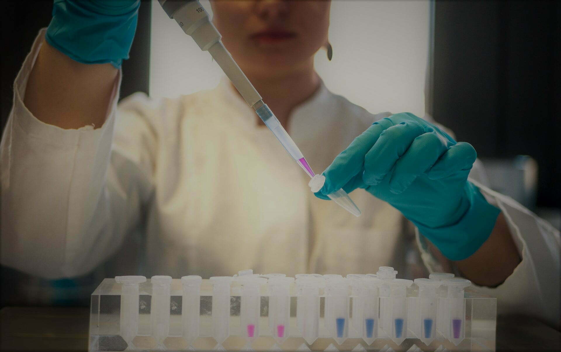 Apply to programs – RFCSR